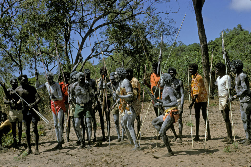 The Mulka Archive | BUKU-LARRŊGAY MULKA CENTRE